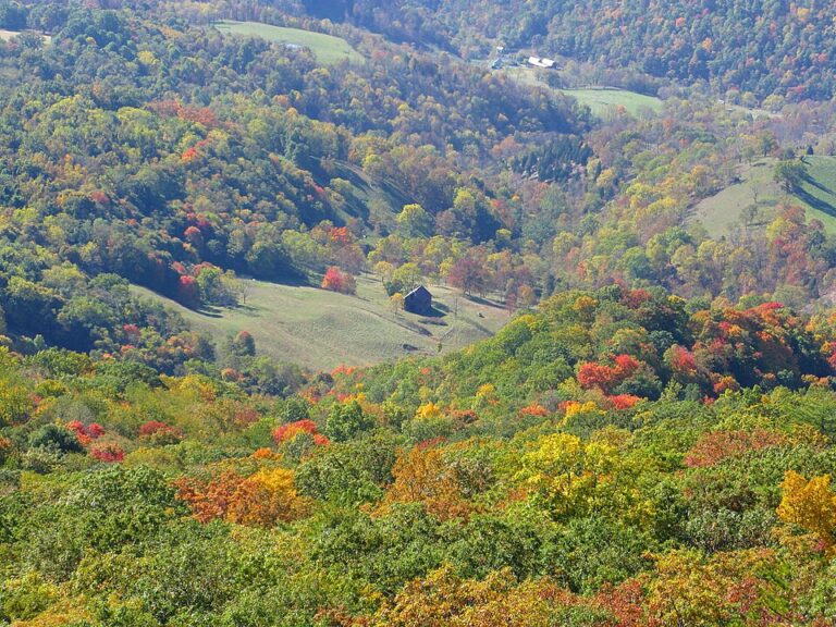 West Virginia Fall Foliage 2025: 7 Places to Visit & Peak Dates